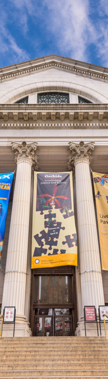 Smithsonian | Phase2